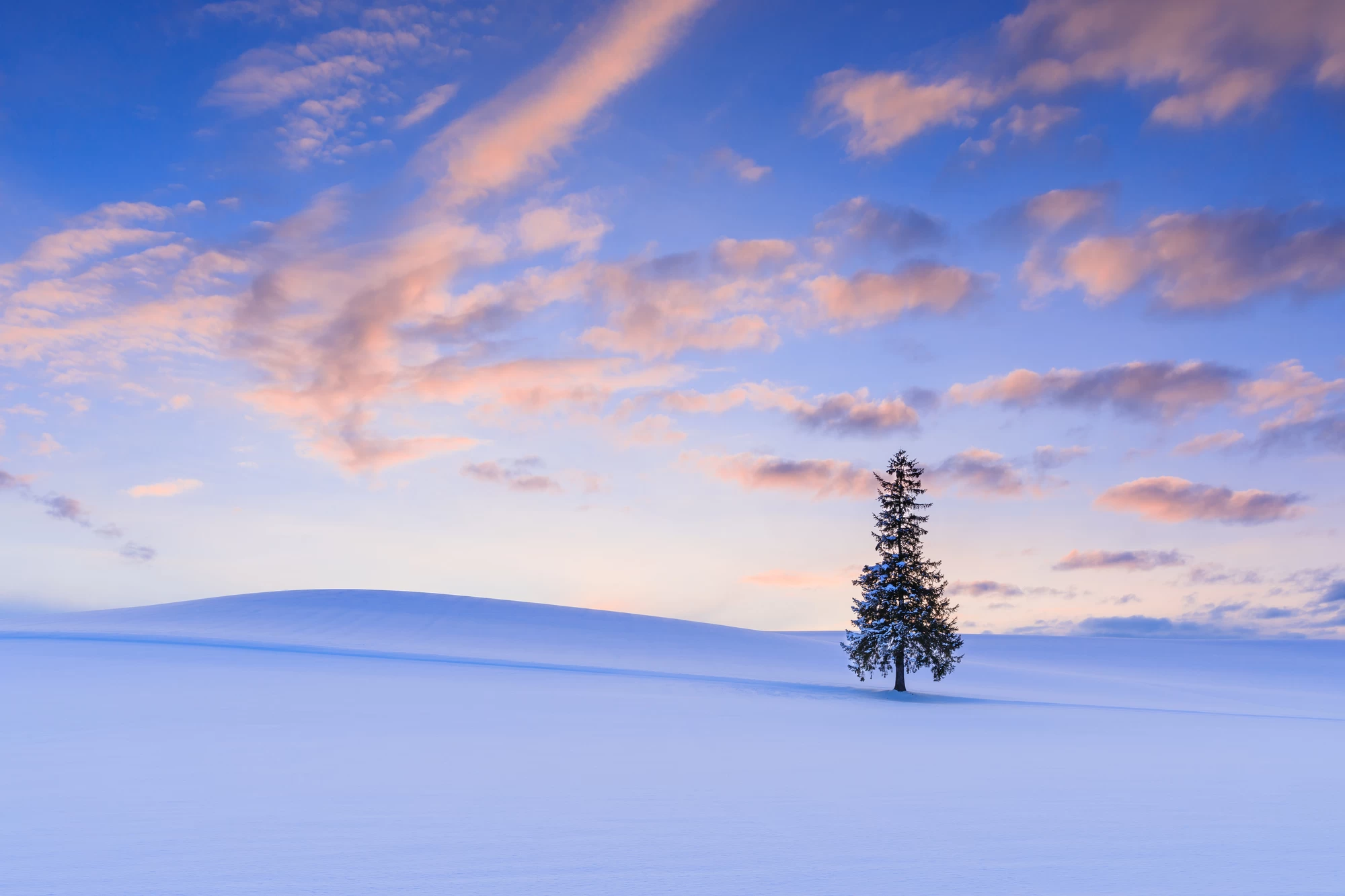 【北海道】冬にこそ行きたい！きれいな雪景色が見られる観光モデルコース11選