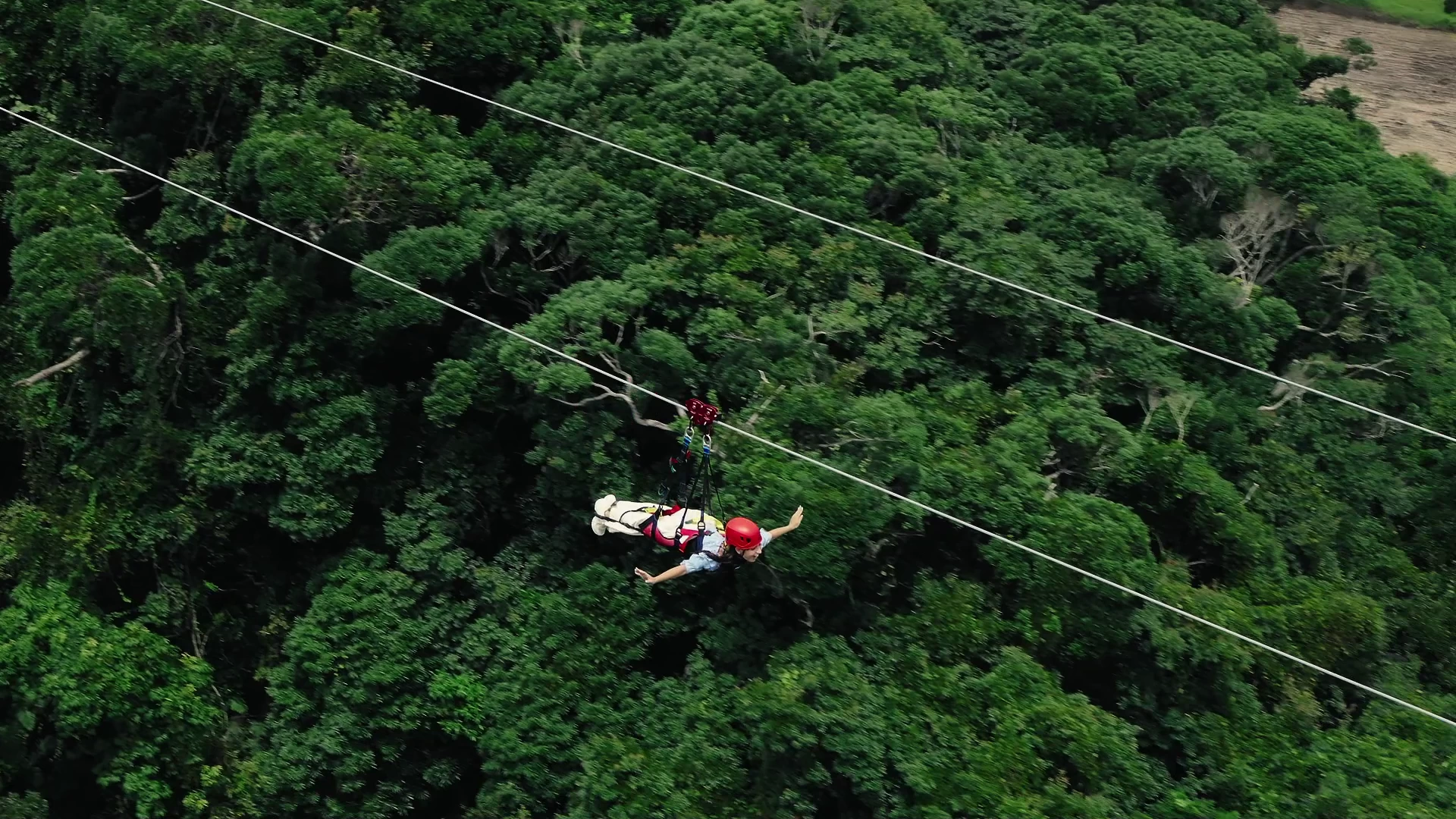 ジャングリア沖縄（JUNGLIA）完全ガイド｜チケット・アクセス・楽しみ方を解説