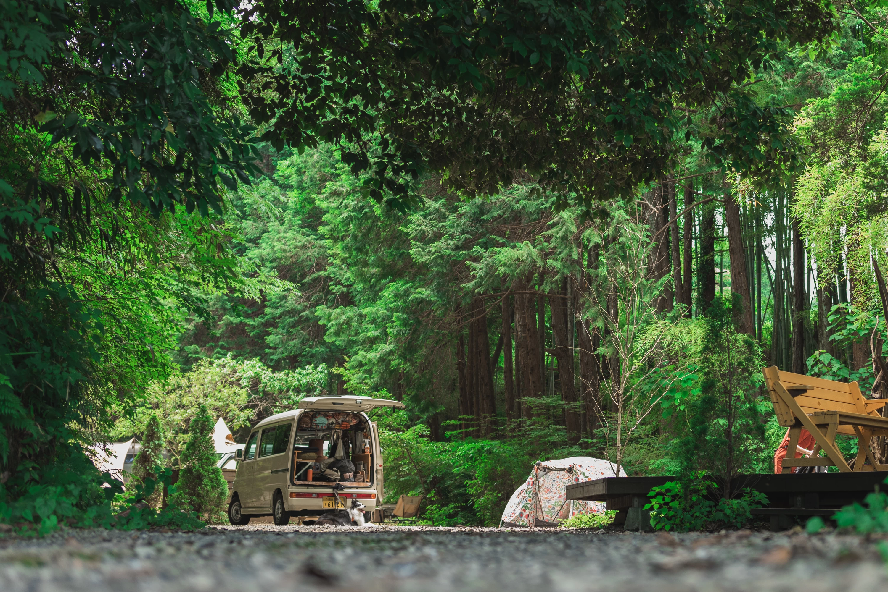 神奈川・厚木のキャンプ場へ 初心者女子におすすめソロキャンプ｜旅行プランは旅色で。